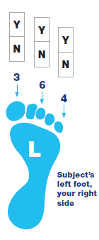 Diabetes review – Painswick Surgery